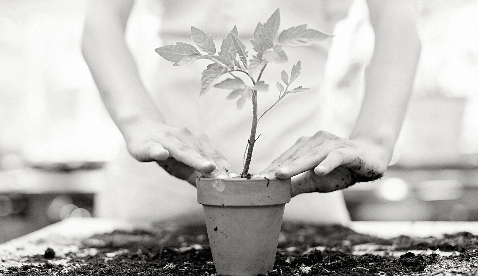 How to repot your life: Part 1 - NOON